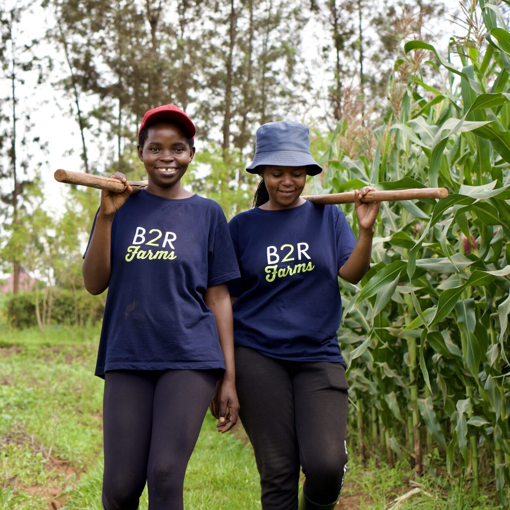 Agriculture | Bridge2Rwanda
